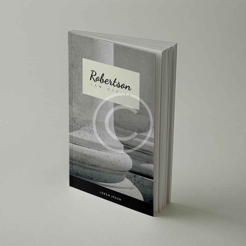 Judicial System - LIAC BBA